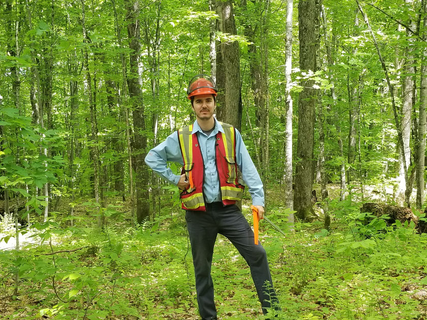 Génie forestier : le parcours de Xavier Noël-Monastesse | Genium360